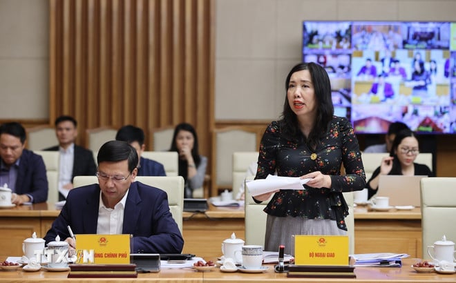 Deputy Prime Minister Tran Hong Ha chaired the meeting of the Steering ...