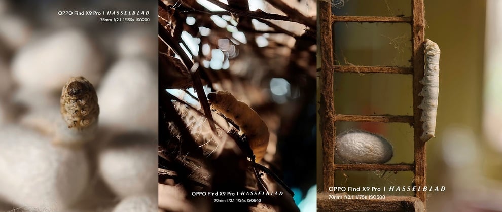 Biến mọi chi tiết đều thành tâm điểm với OPPO Find X9 Pro