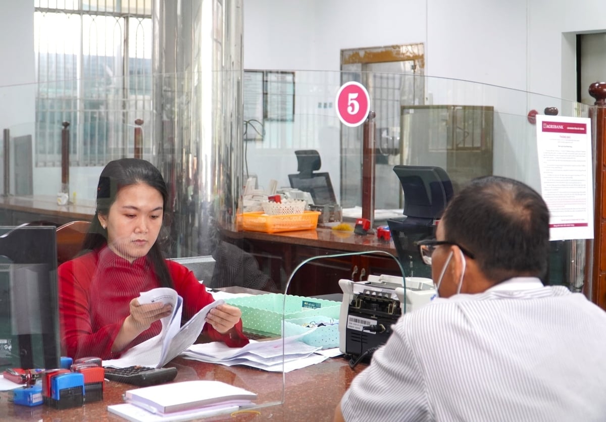 Agribank quyết liệt triển khai tín dụng cho 1 triệu ha lúa chất lượng cao
