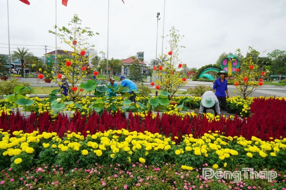 Vibrant flowers are ready for the Sa Dec Flower and Ornamental Plant ...