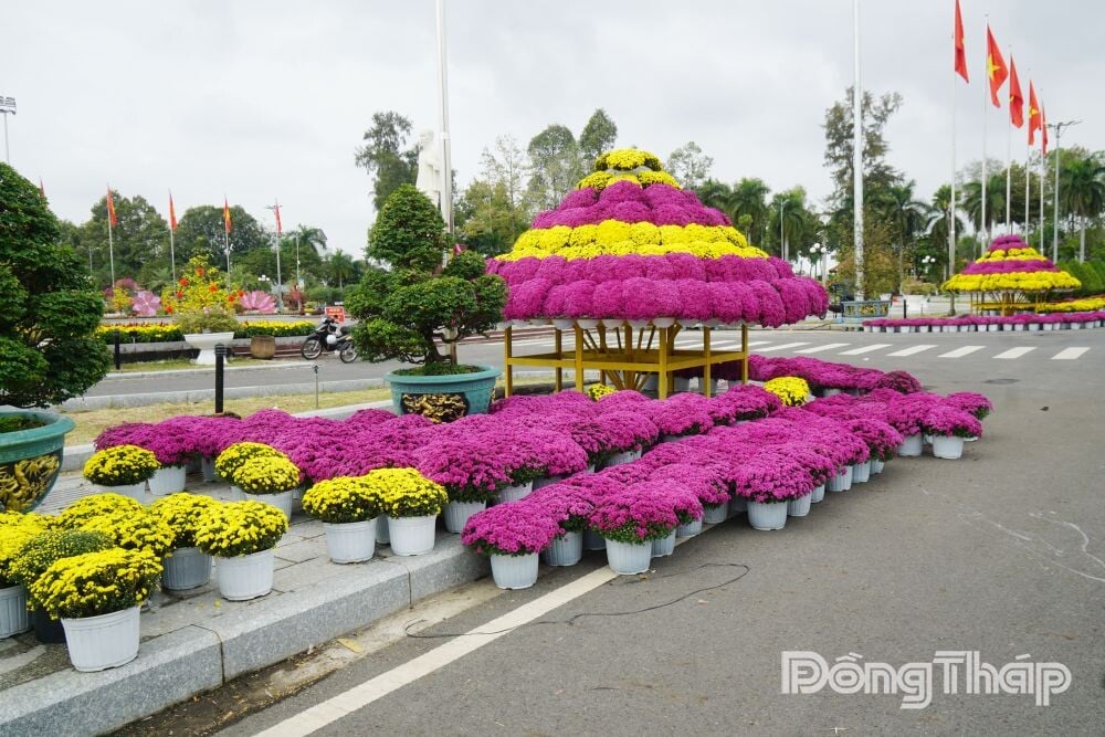 Vibrant flowers are ready for the Sa Dec Flower and Ornamental Plant ...