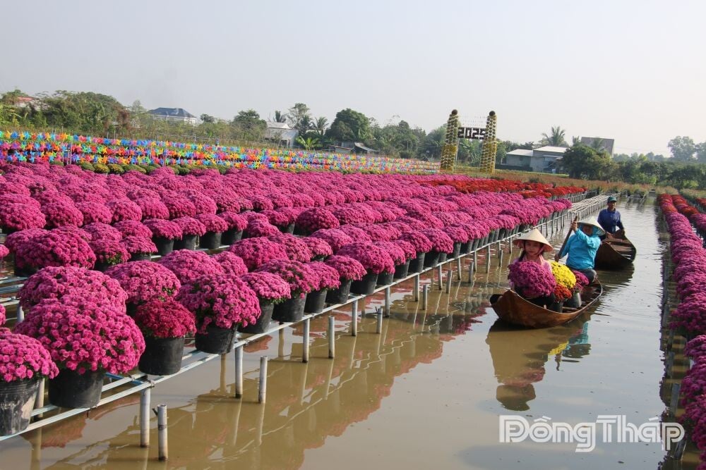 Sa Dec: Developing flower villages in conjunction with tourism.