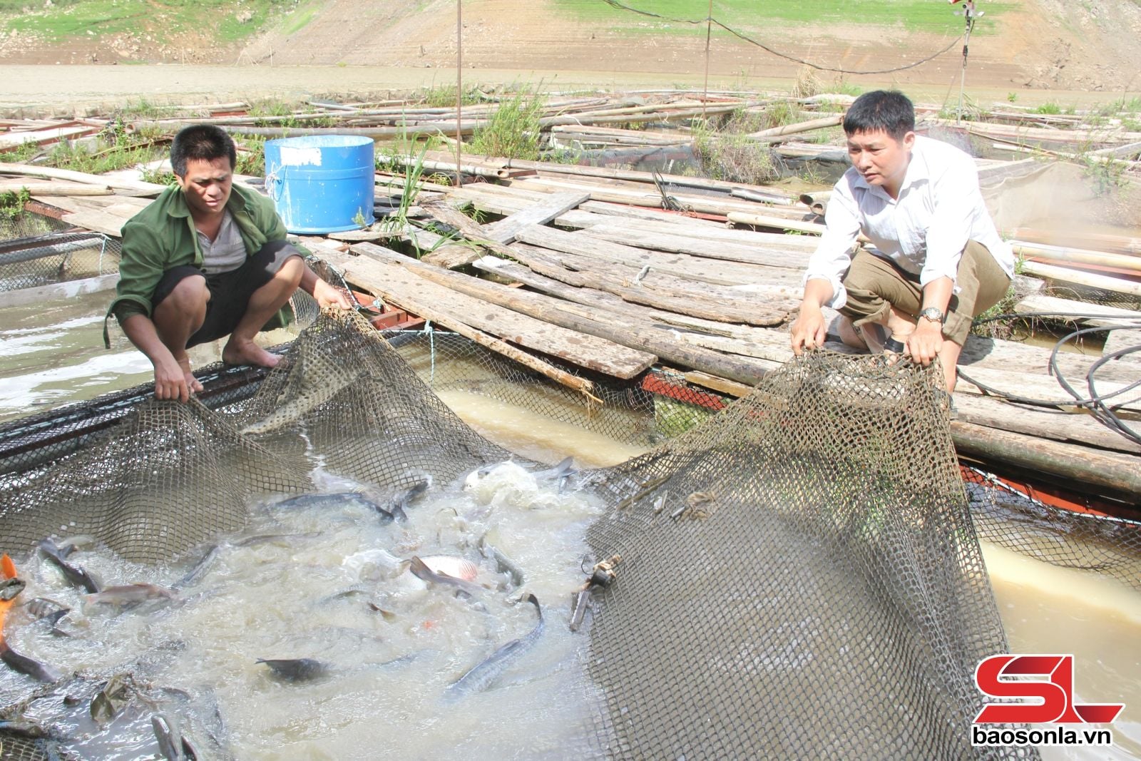 Maintaining and developing cage fish farming.