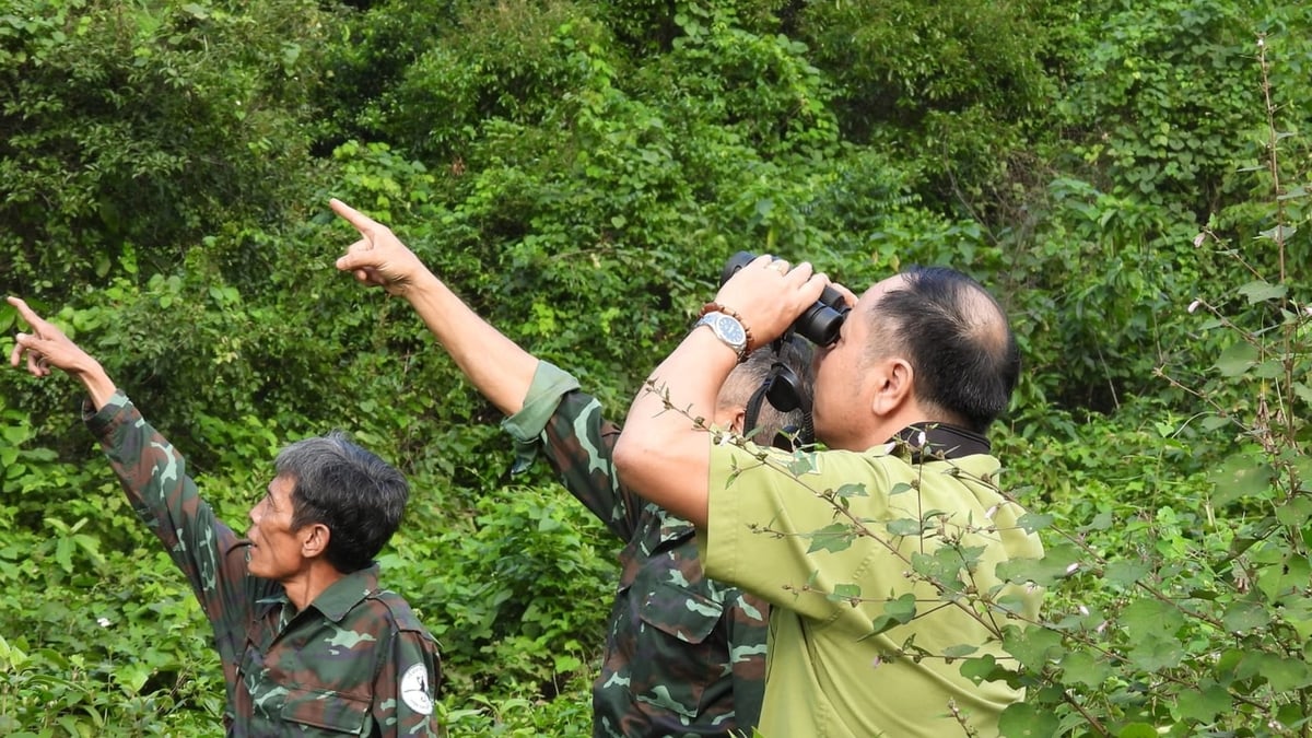 Looking back at the 'Co-management of Biodiversity and Livelihood ...