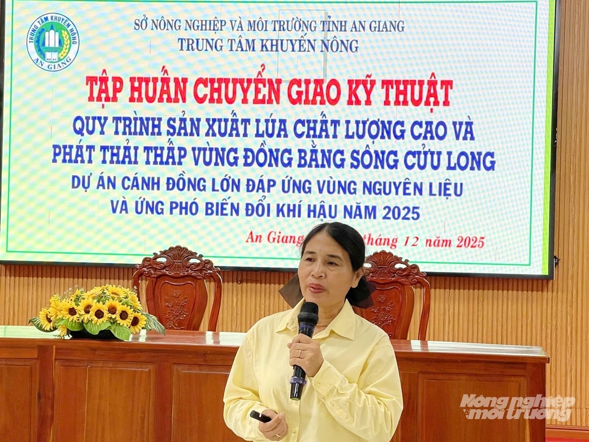 An Giang promotes high-quality, low-emission rice farming practices ...