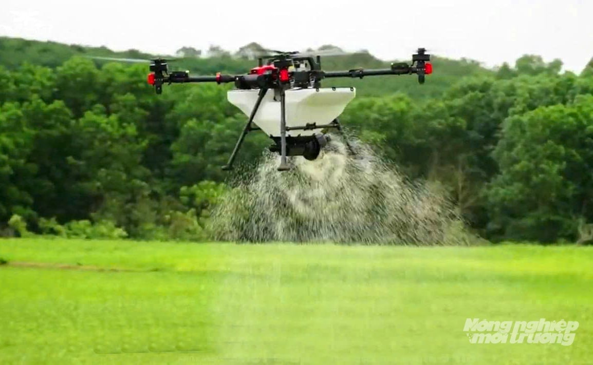 An Giang promotes high-quality, low-emission rice farming practices ...