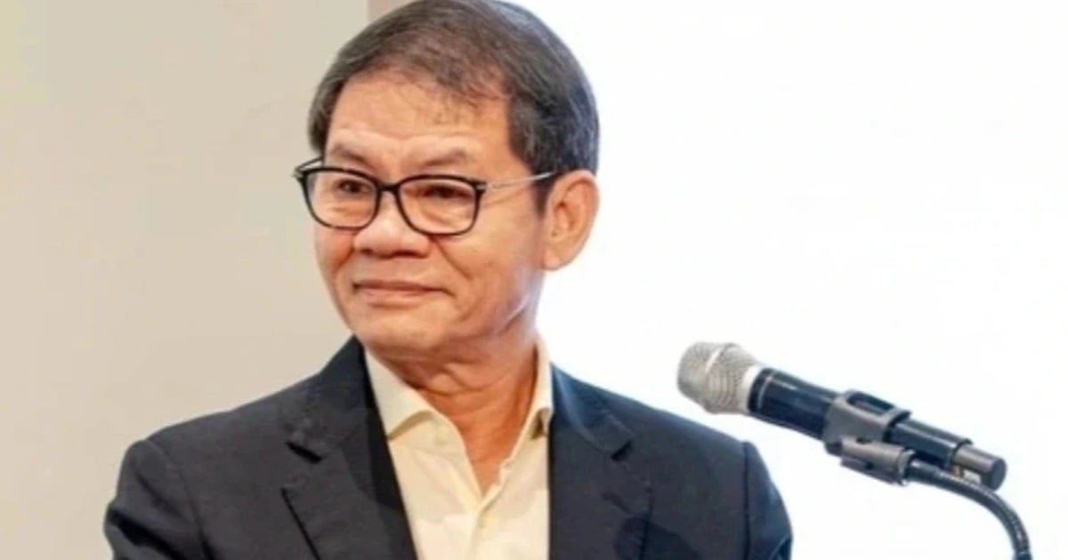 Thaco, owned by billionaire Tran Ba Duong, increases its capital by ...