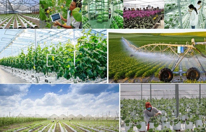 Rural development orientation promotes the economic development of the ...