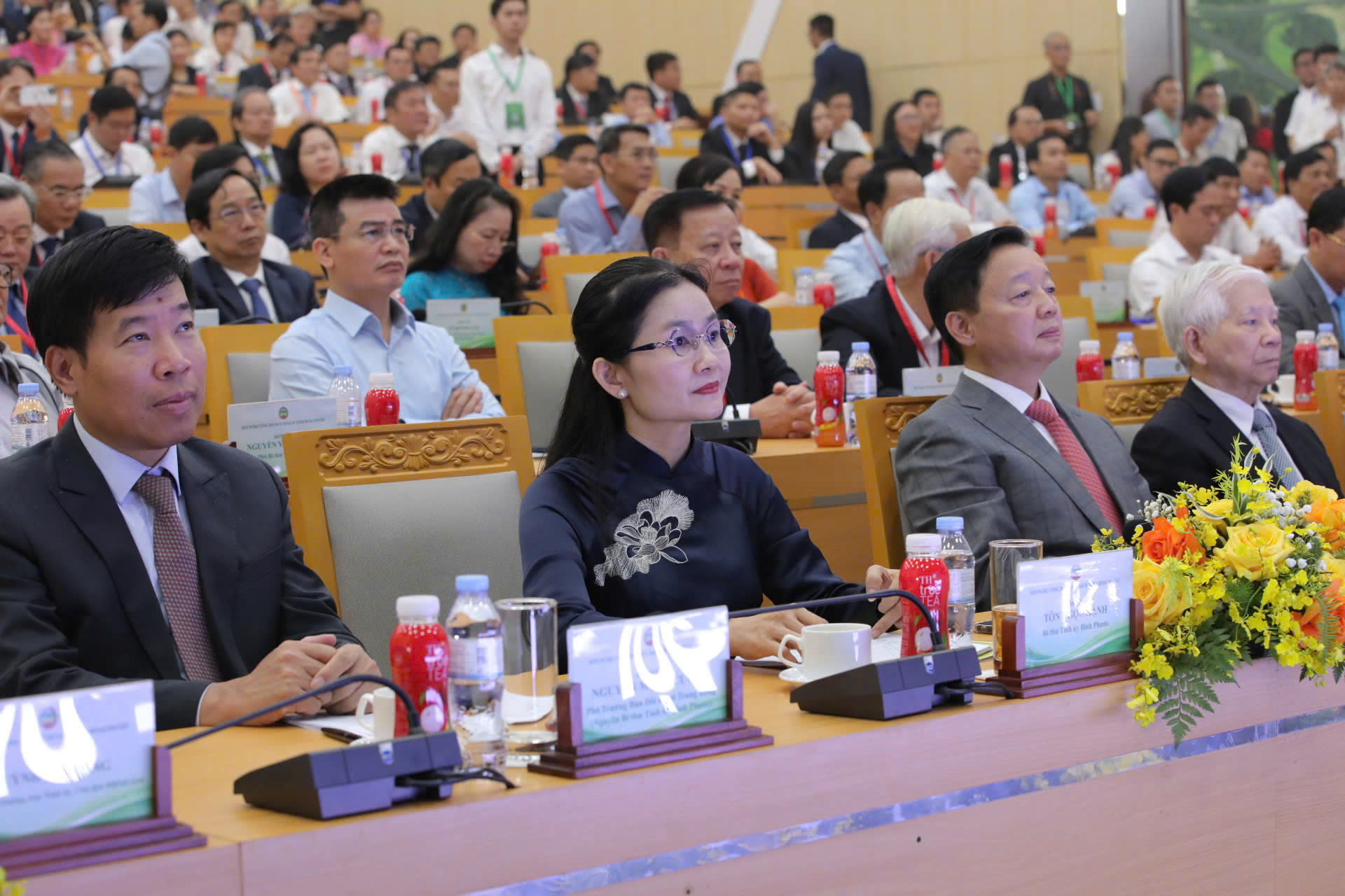 Binh Phuoc announces Provincial Planning for the period 2021-2030 ...