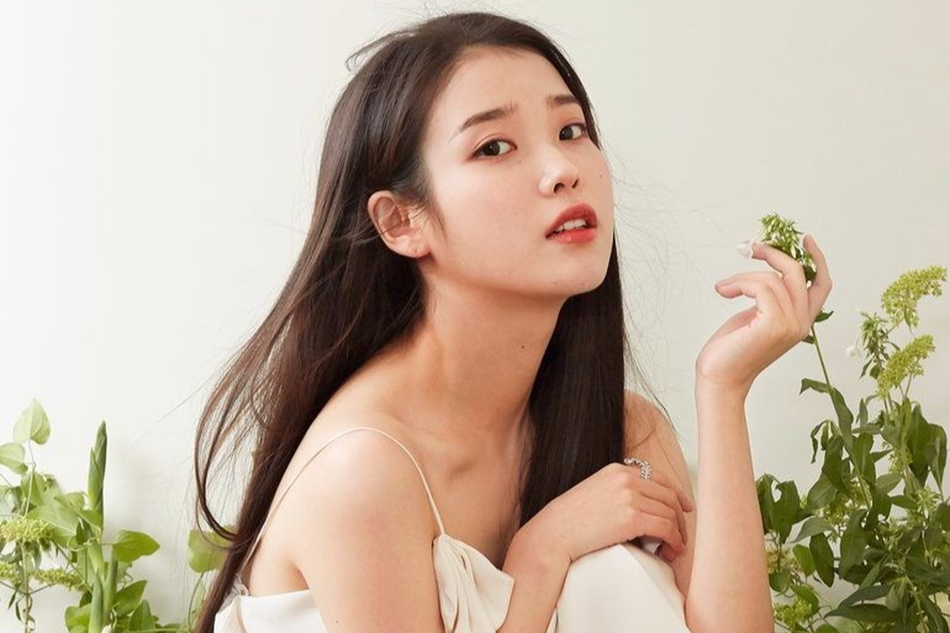 IU: The "Nation's Little Sister," a wealthy Korean woman who ...