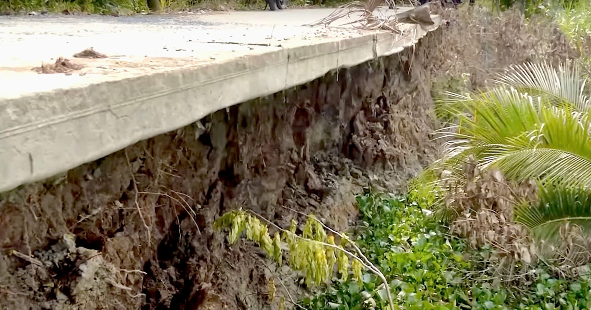 Long An urgently repairs 8 eroded canal sections