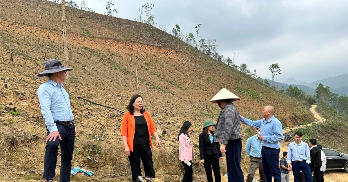 Review of the National Target Program for Socio-Economic Development in ...