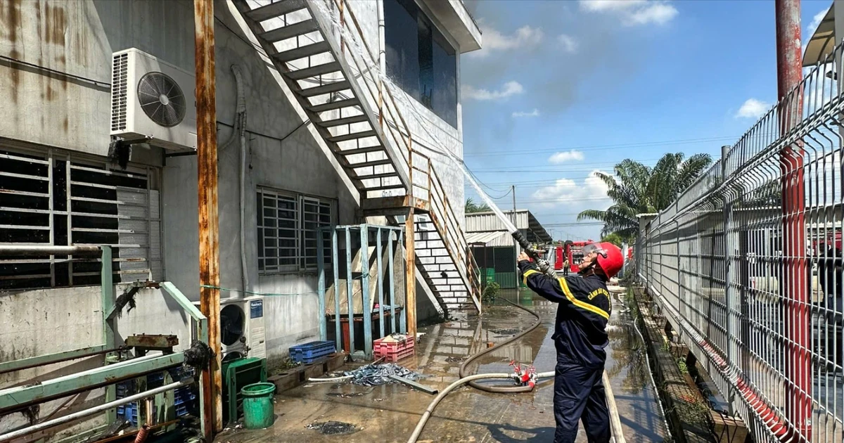 Binh Duong: Incendio extinguido en el Parque Industrial Song Than 3