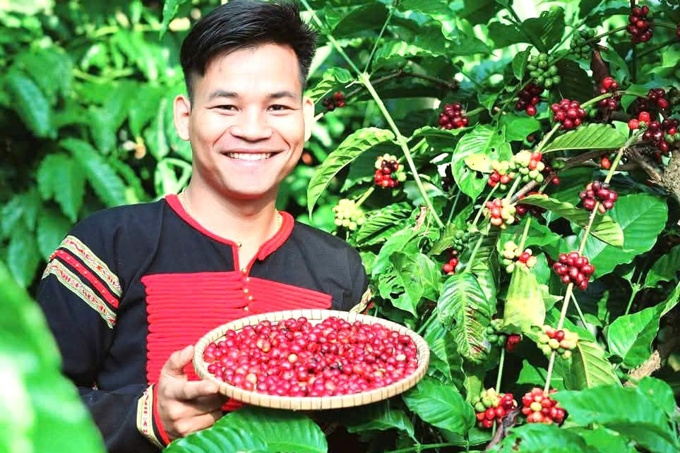 Ede boy quits medical career to build coffee brand in village