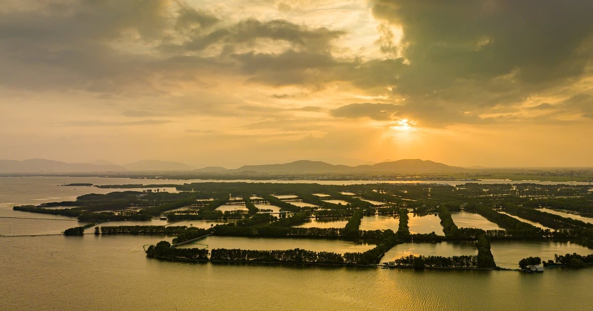 Natural masterpieces: Thi Nai Lagoon - treasure of Binh Dinh