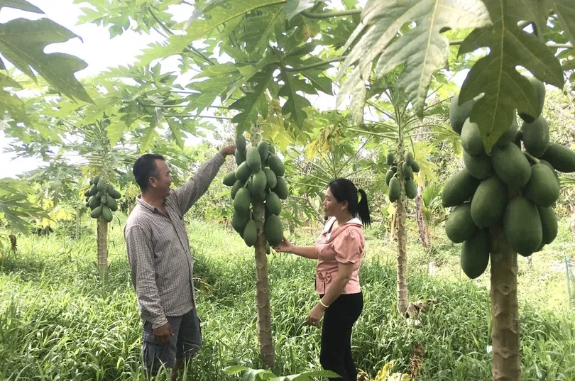 Meet the needs of job creation and income increase