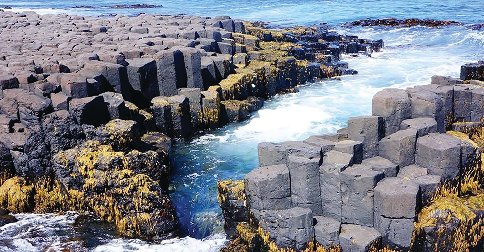 Visit the Chatham Islands