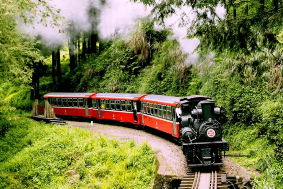 Alishan Train Experience: A Journey to Discover the Magnificent Beauty ...
