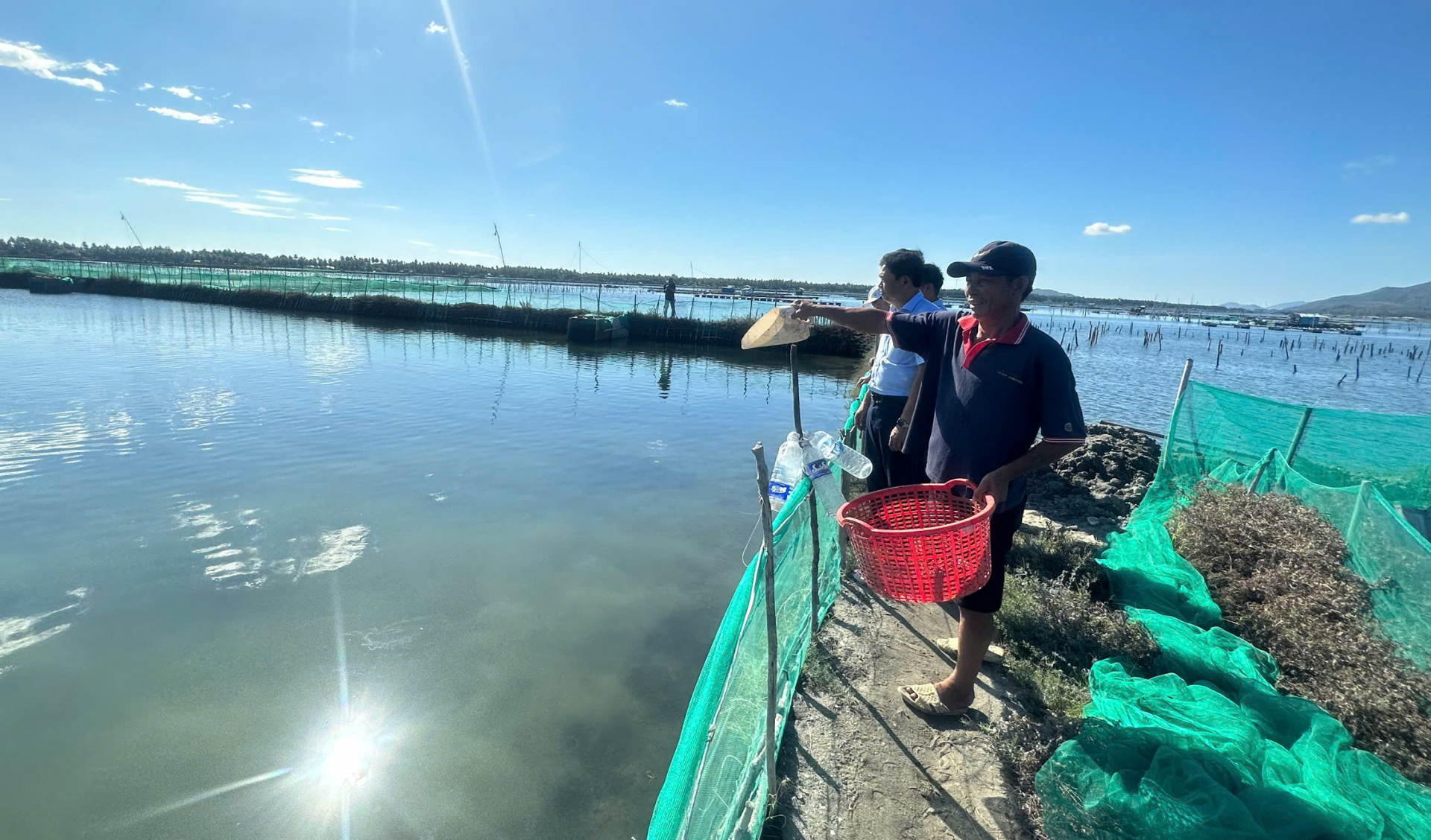 Promoting the effectiveness of the Farmers Support Fund