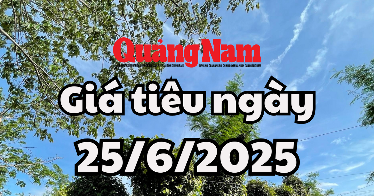 Pepper price today June 25, 2025 is at the lowest level in the past 12 ...