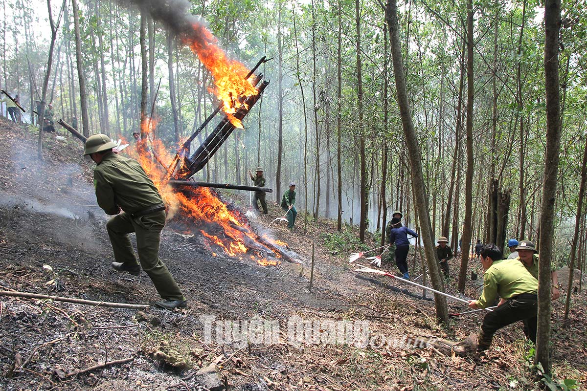 Policies for people mobilized to participate in fire prevention and ...