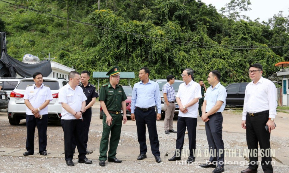 Connecting and promoting lychee export through border gates of Lang Son ...