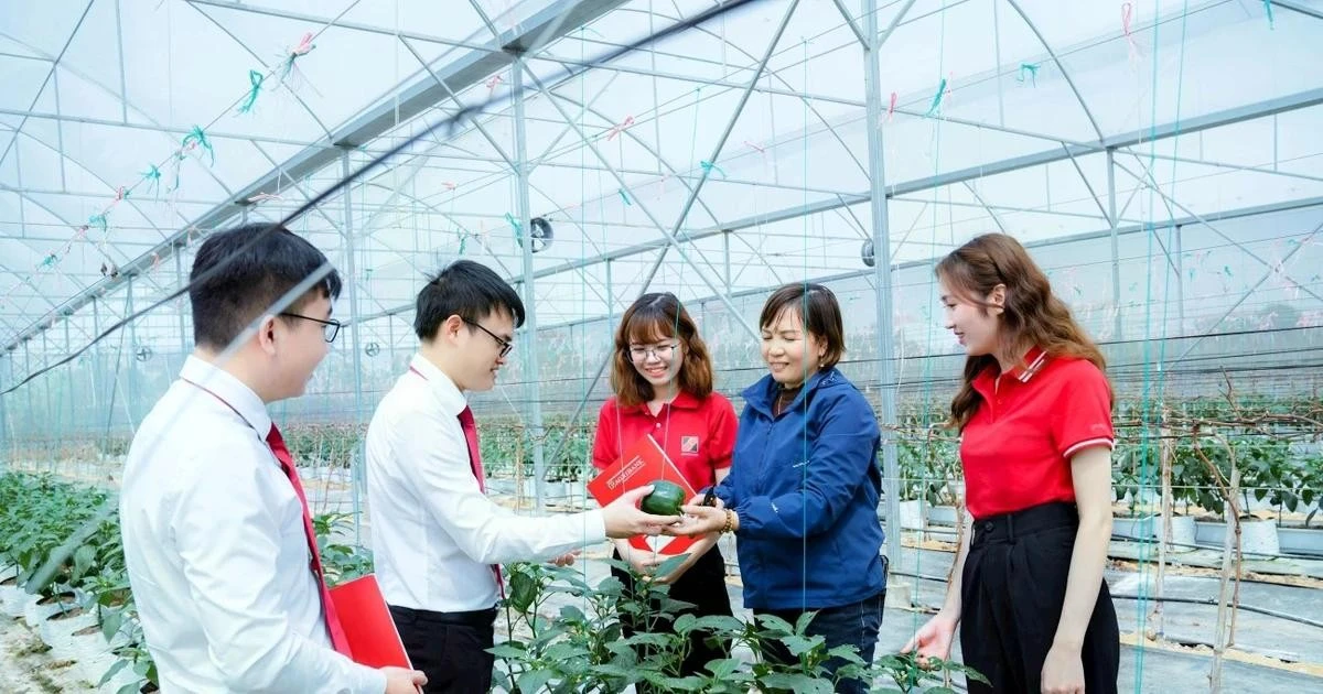 Opportunités et défis du crédit vert