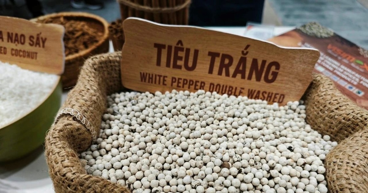 Pepper price today July 13, 2025: Dak Lak maintains the highest peak of ...
