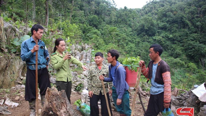 Biodiversity conservation associated with sustainable livelihood ...