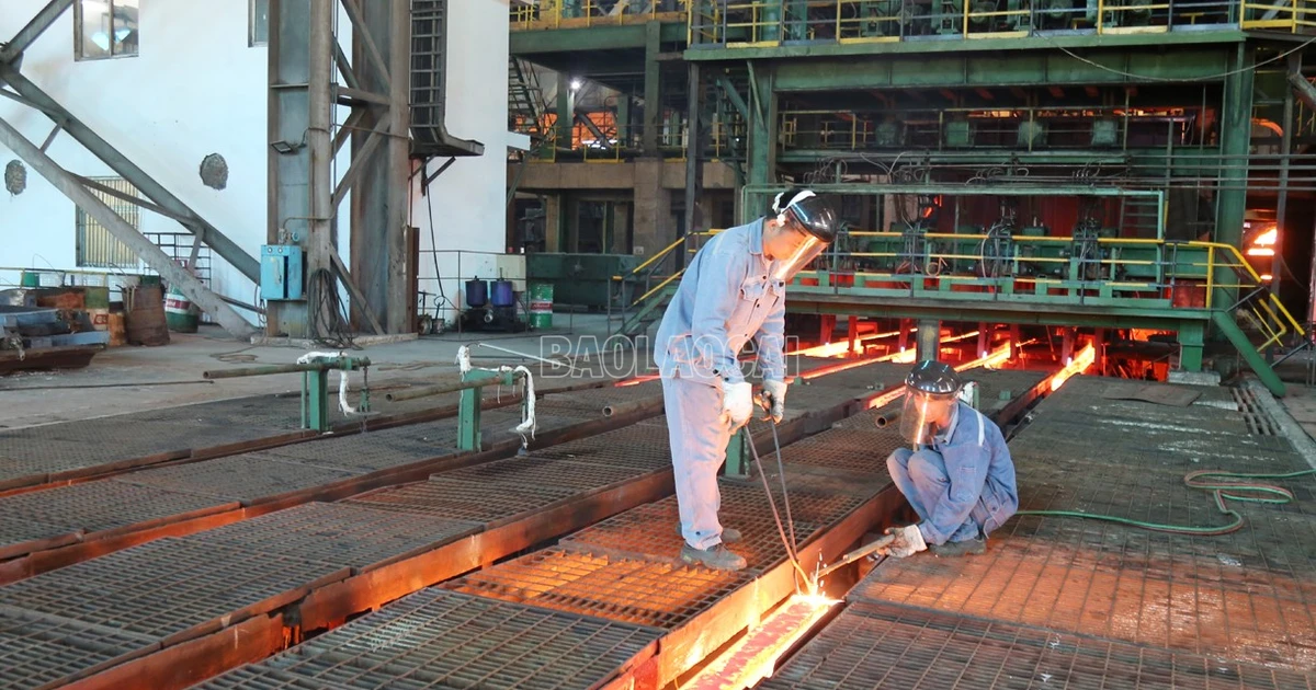 Industrial production value in Tang Loong Industrial Park increased by ...