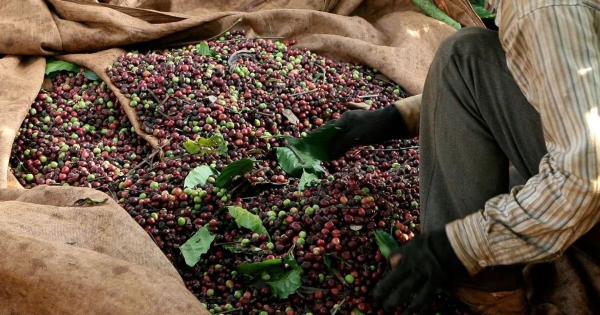 Wetpolly pornhup aside from the extra fee for what