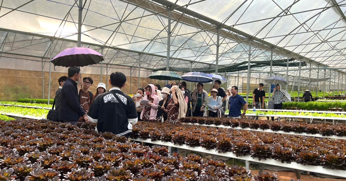 Des solutions pour que le secteur agricole se développe comme prévu