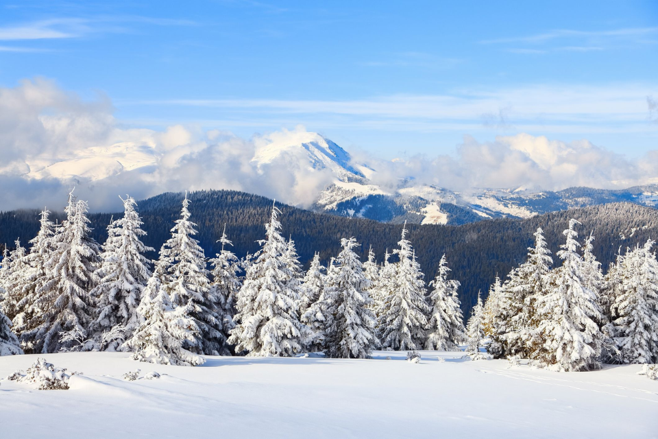 Los 5 mejores lugares para ver la nieve en Taiwán: descubre la ...