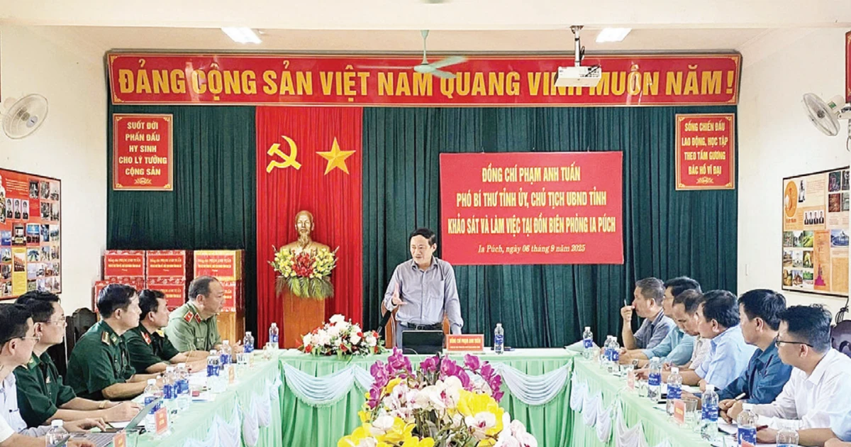 Gia Lai strengthens border work