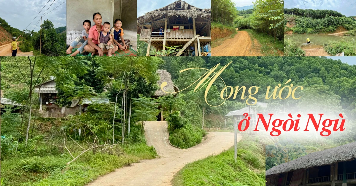 Wish in Ngoi Ngu