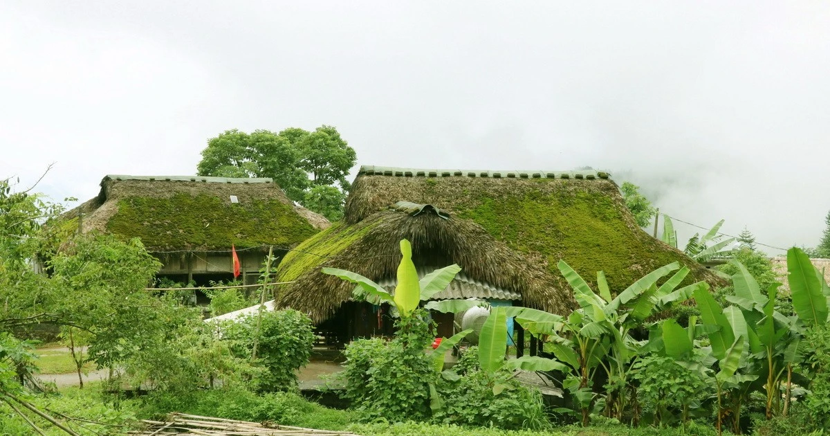 Primitive Xa Phin - Moss house village of Dao people in the middle of ...