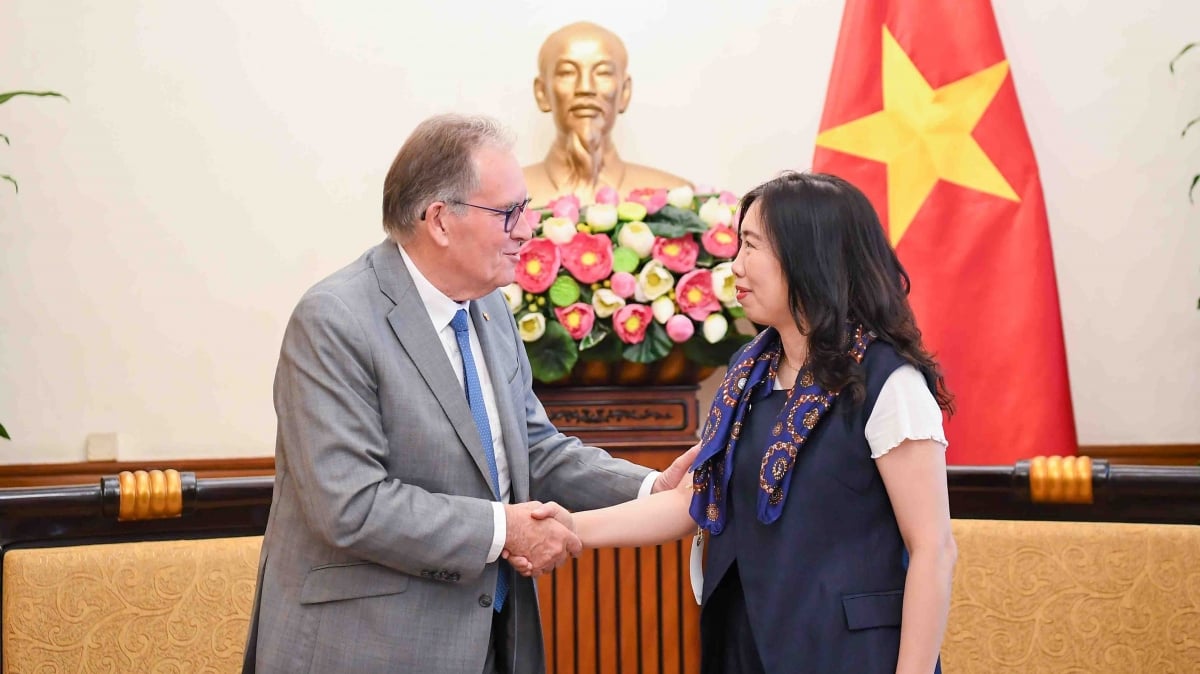 Deputy Foreign Minister Le Thi Thu Hang received the France - Vietnam ...