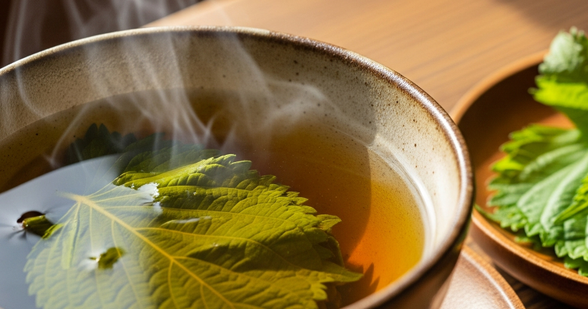 Many benefits of perilla leaf tea