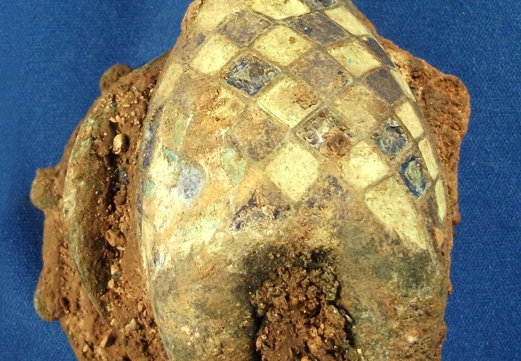 Exploring an ancient Roman tomb, unexpectedly found a stylish rooster ...