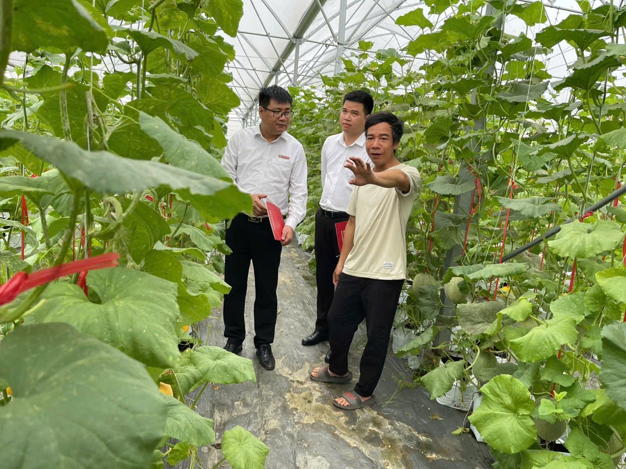 Débloquer les sources de crédit vert à Hai Phong