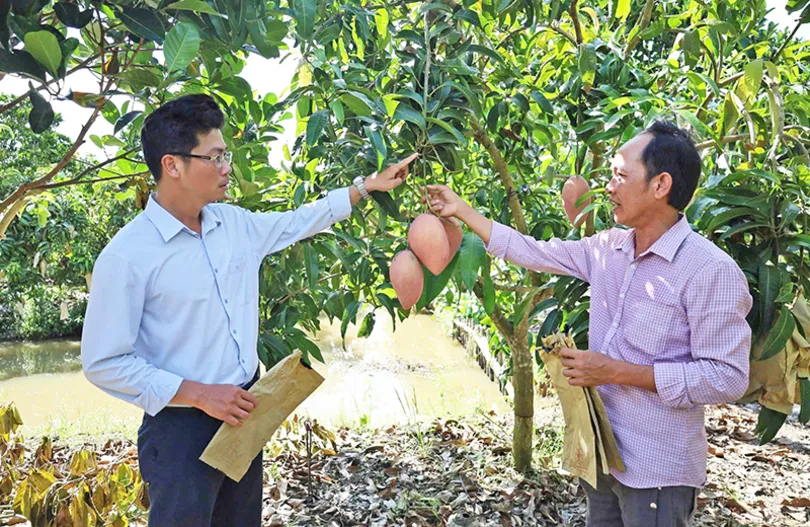 Growing area codes - "leverage" for agricultural products to reach far