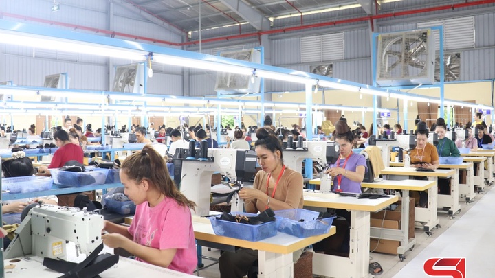 Stabilize production and business activities