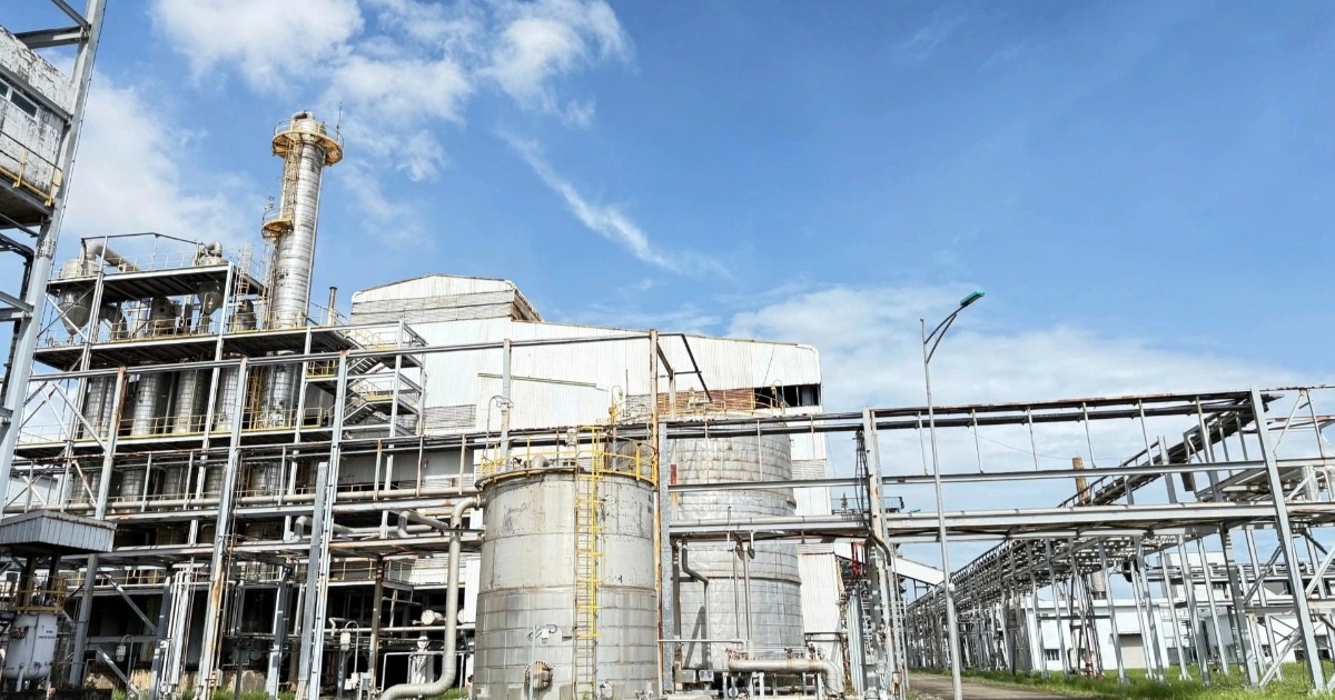 Urgently restart Dung Quat factory, ready for E10 gasoline