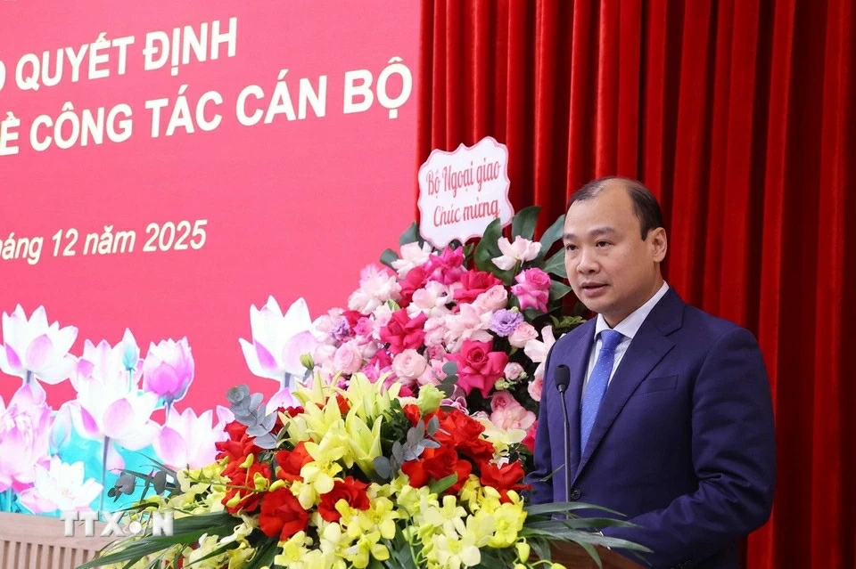 Mr. Le Hai Binh has been transferred, assigned, and appointed to the ...