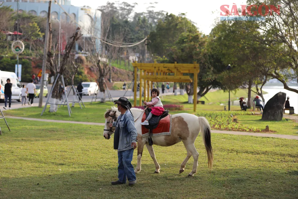 Da Lat was pleasantly clear on the first day of the new year 2026.