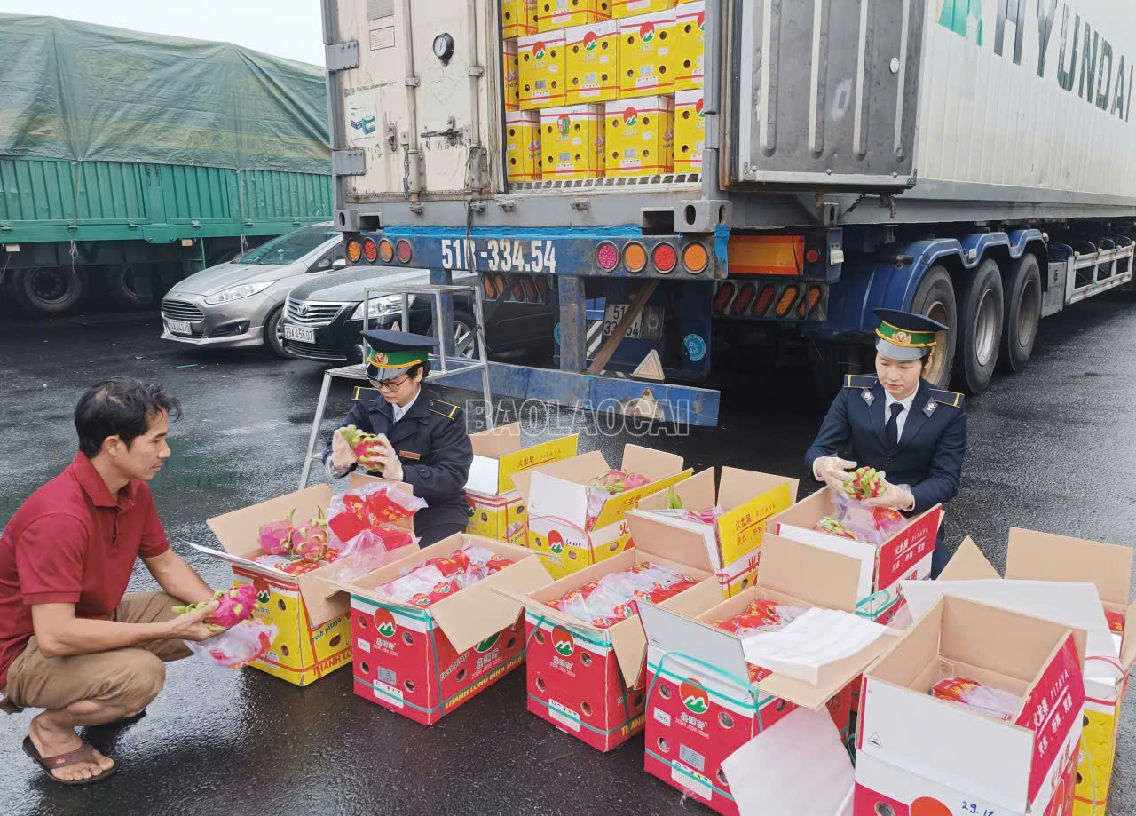 On the first day of the year, Kim Thanh Border Gate achieved import ...