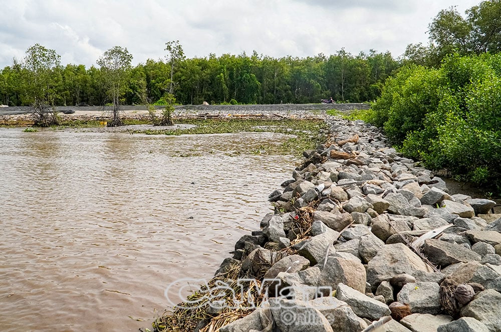 Improve irrigation systems and proactively combat saltwater intrusion.