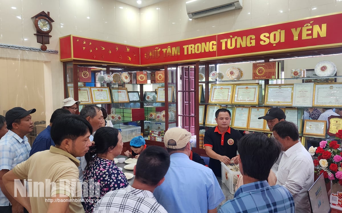Efektivitas model pengembangan produk sarang burung OCOP yang dikaitkan ...