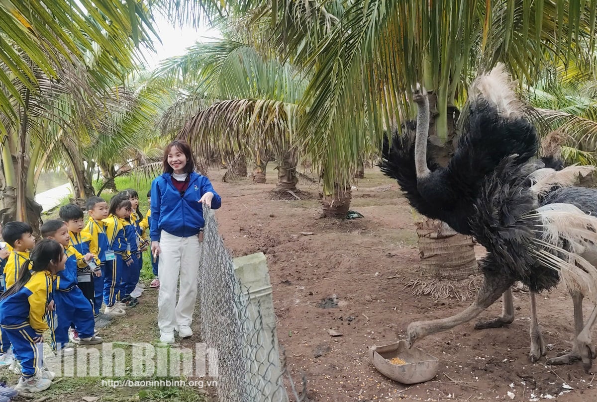 Efektivitas model pengembangan produk sarang burung OCOP yang dikaitkan ...