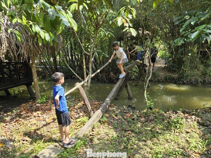 Can Tho and Vinh Long attract tourists during the New Year holiday ...